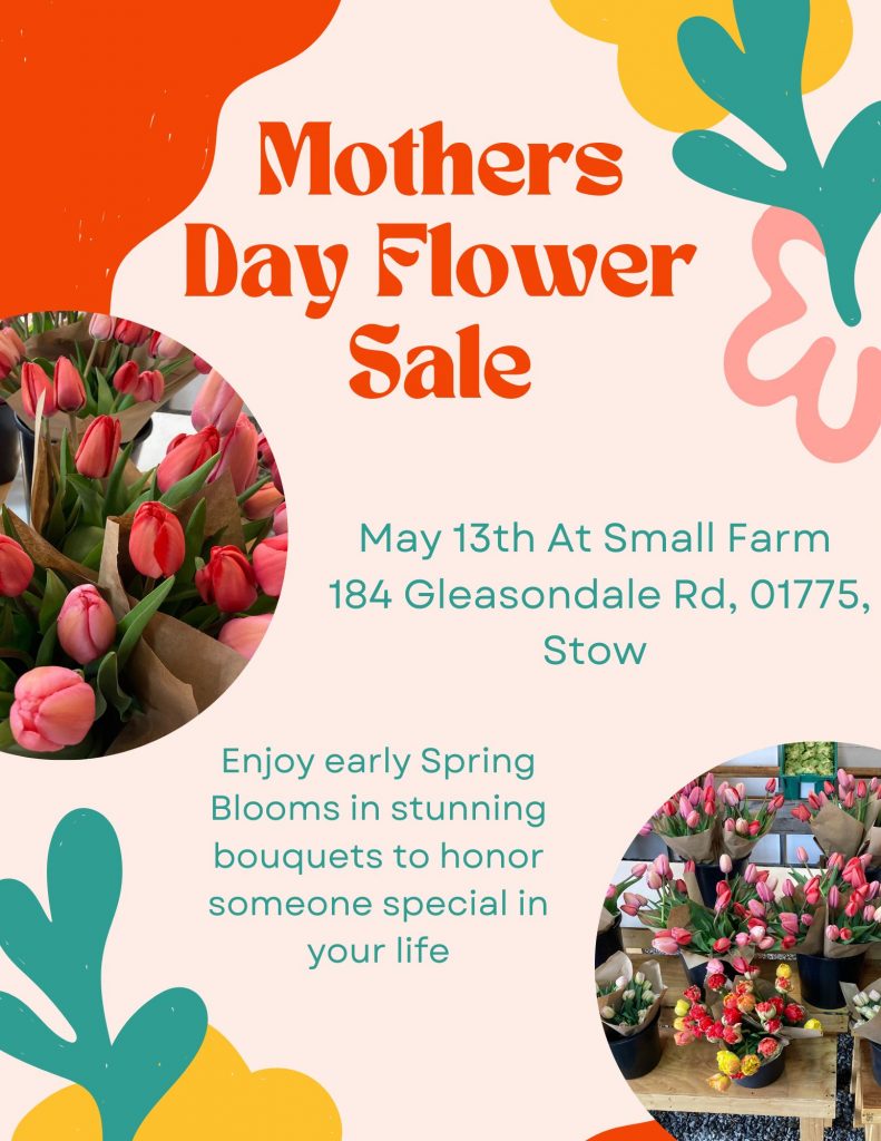 May seedling sales, tulip bouquets, and our Spring CSA – Small Farm